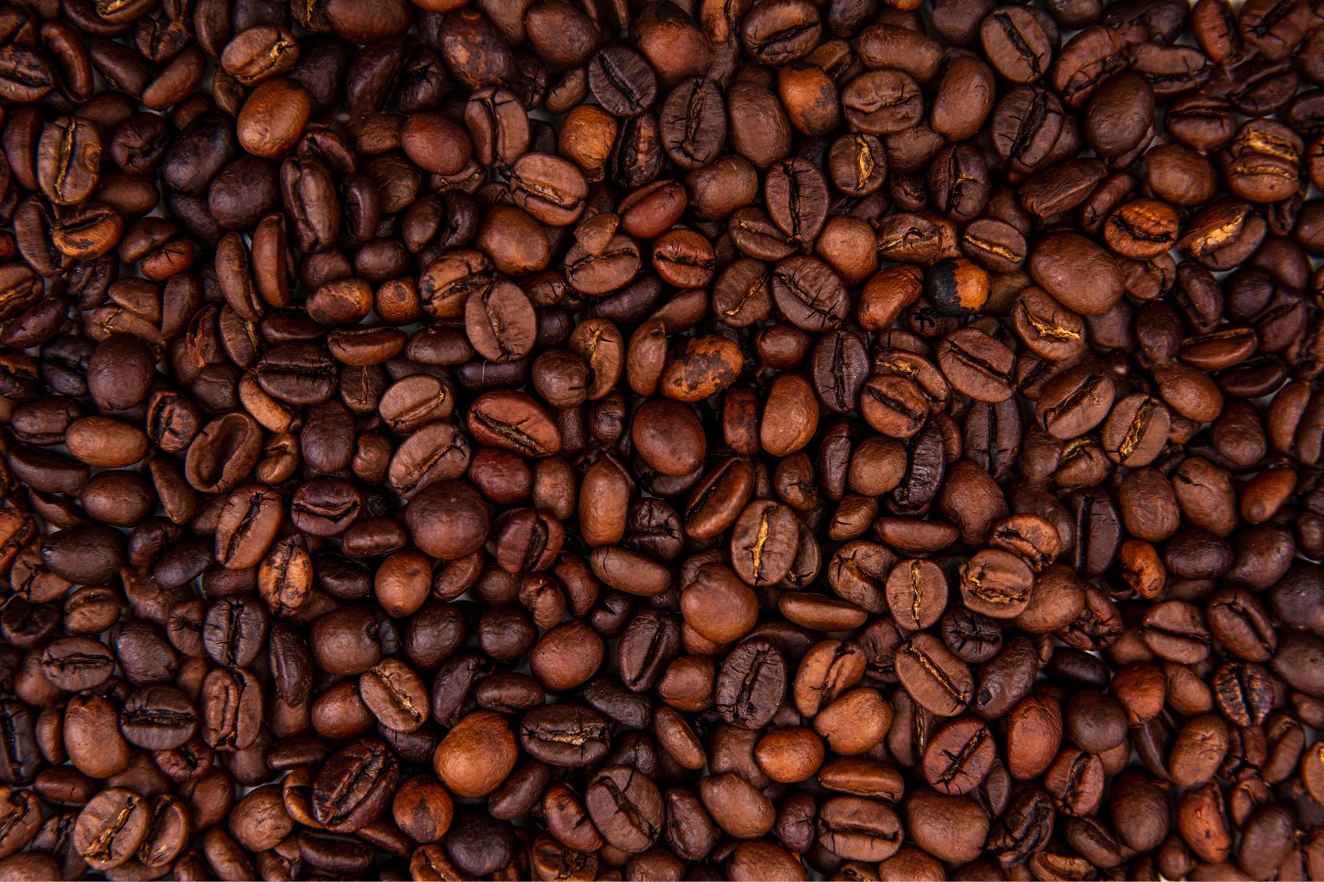 Ricoffee Chile – Descubre una cuidada selección de cafés premium en ...